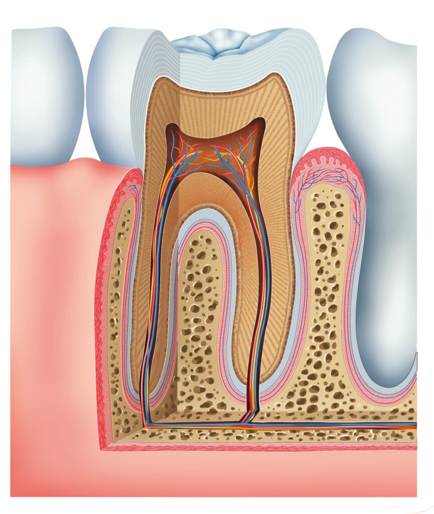 Why are My Teeth Sensitive? | Needham, Bedford, Franklin, MA