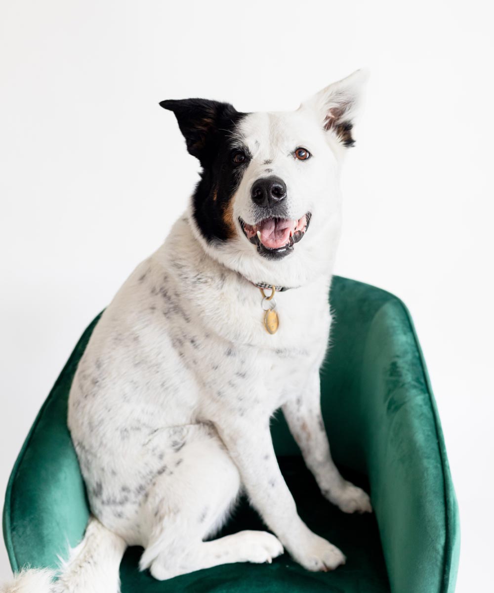 Selina - Scheier & Price Family Dentistry - Havertown, PA