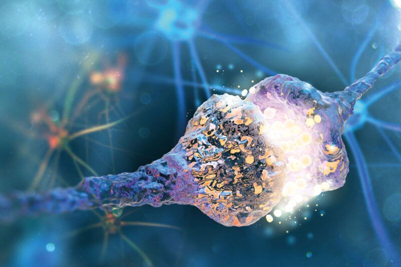 What is Functional Neurology?: Unleash Your Brain’s Power! Only at Axon Integrative Health in ...