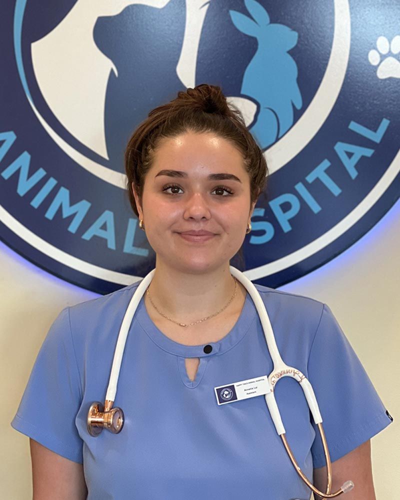 Meet the Doctor and Team | Happy Tails Animal Hospital | Renton, WA