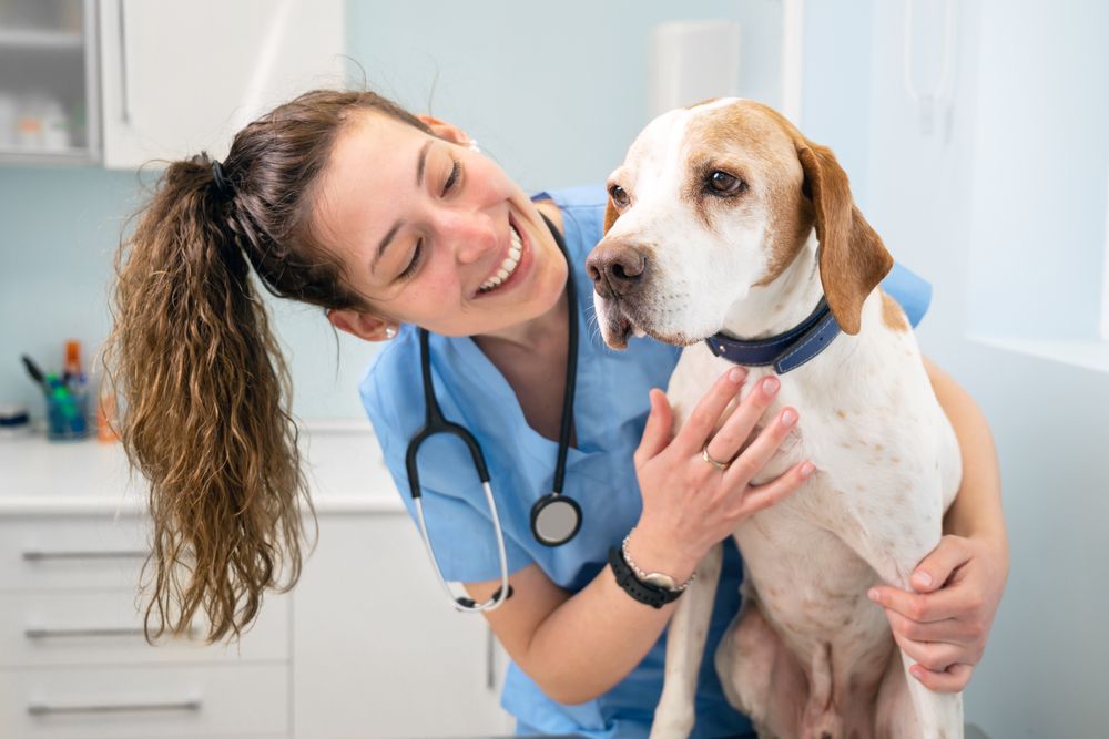 Epesioplasty for Dogs - Happy Tails Animal Hospital