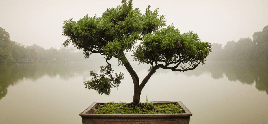 IV Nutrient Therapy - Holistic Integrative Wellness Centre