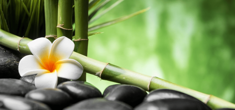 About the Practitioner - Holistic Integrative Wellness Centre